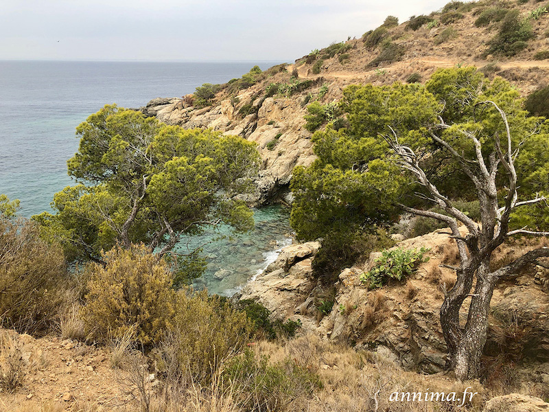 Le chemin de ronde du Cap de Creus – annima.fr