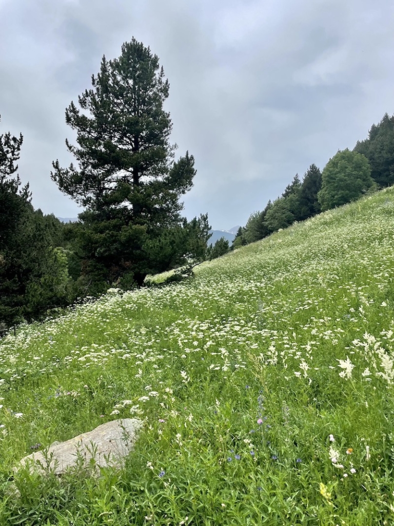La vallée d’Eyne – annima.fr