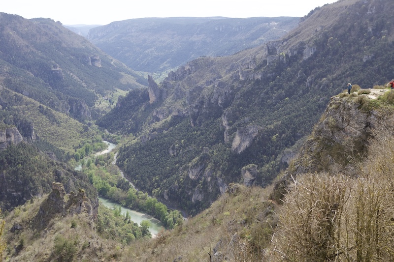 Le point sublime pour découvrir les Gorges du Tarn – annima.fr
